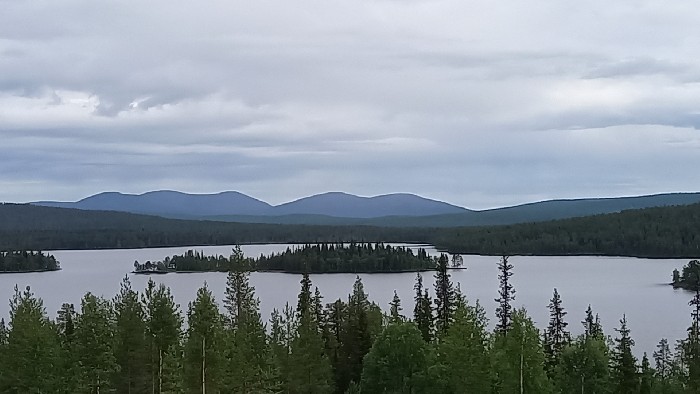 Info :: studio-merilinna